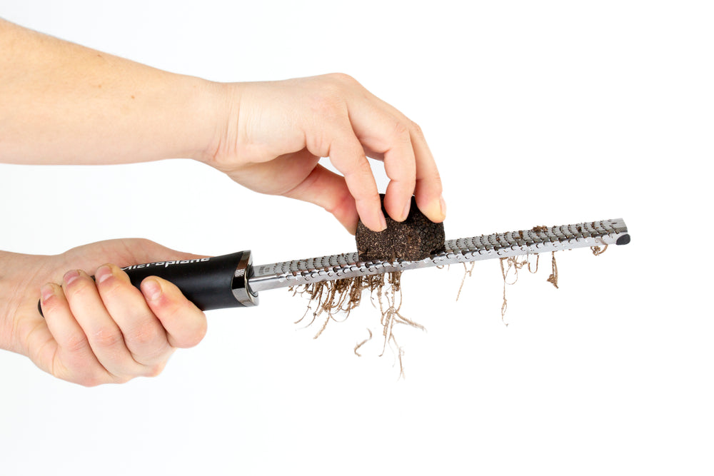 Comprar Rallador de Trufa Microplane