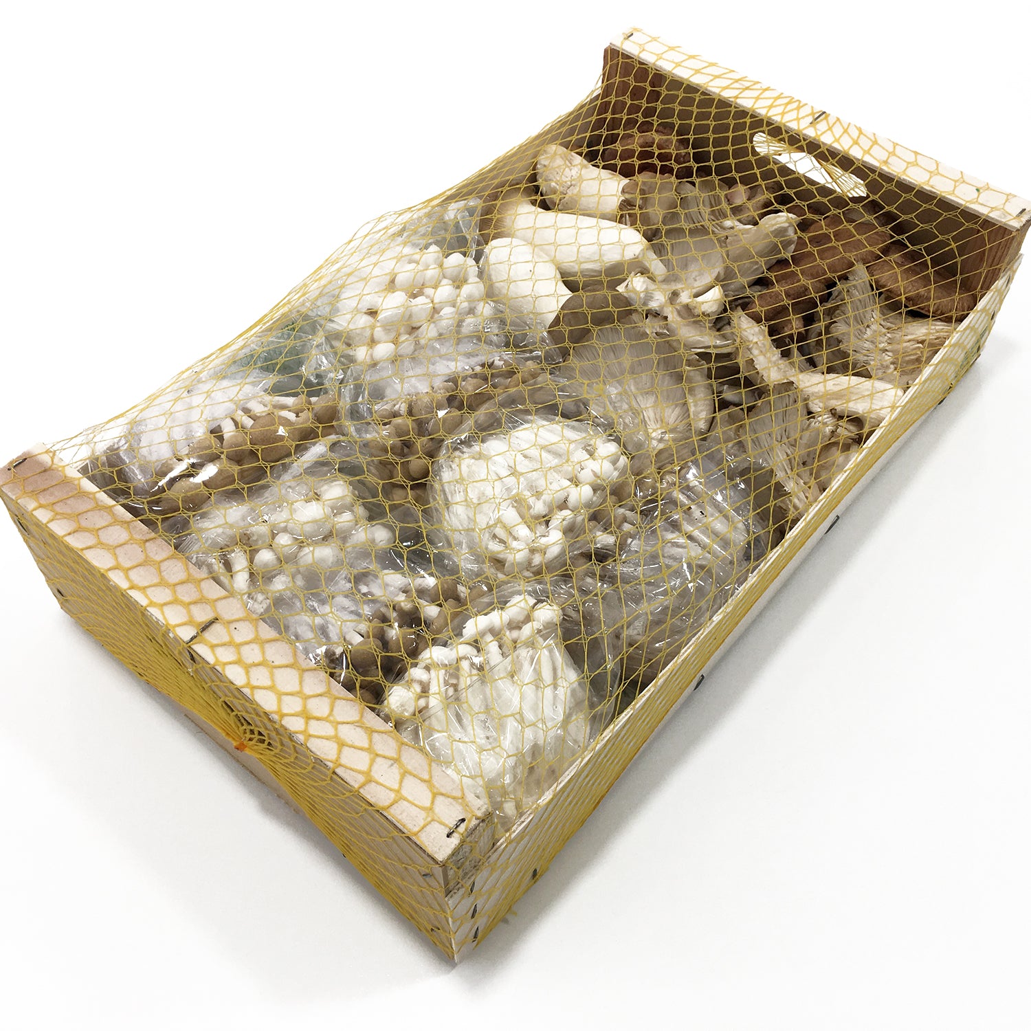 Mix Setas Cultivo 3Kg – LAUMONT PROFESIONAL